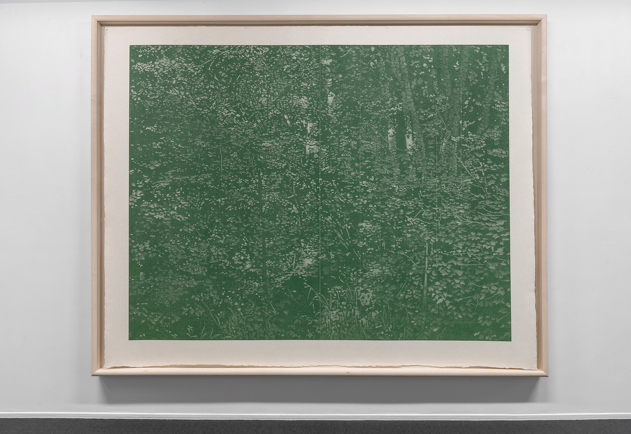 Selected woodcuts 1986 - 2017 | Galleri K